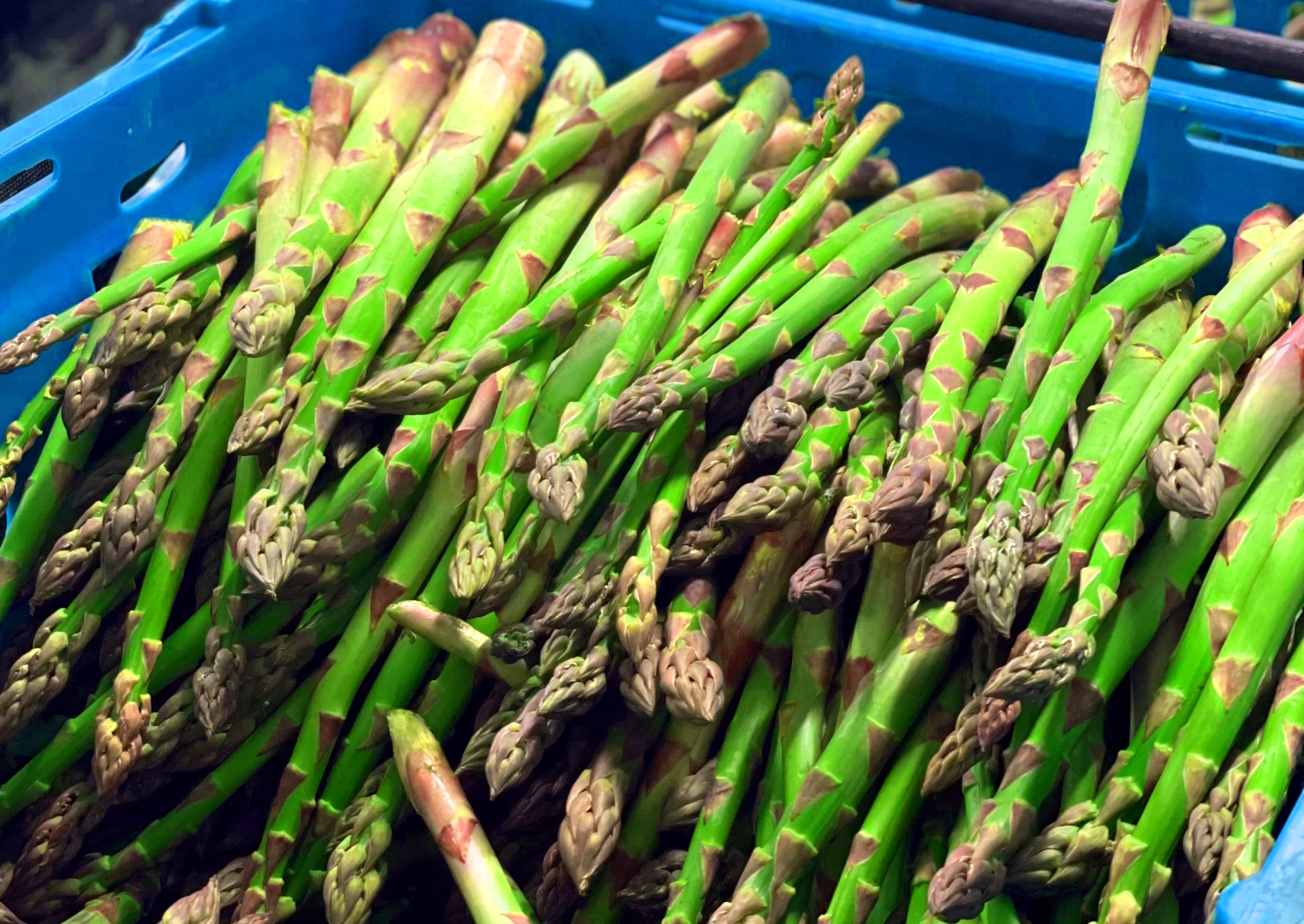 Kent Produce May Update from Kent Veg Box - Produced in Kent