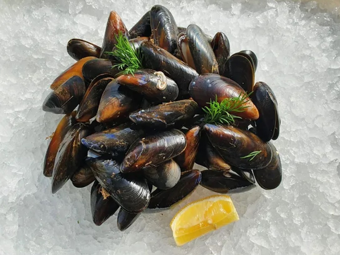 Welcome to the start of the new Mussel Season with the Boathouse ...