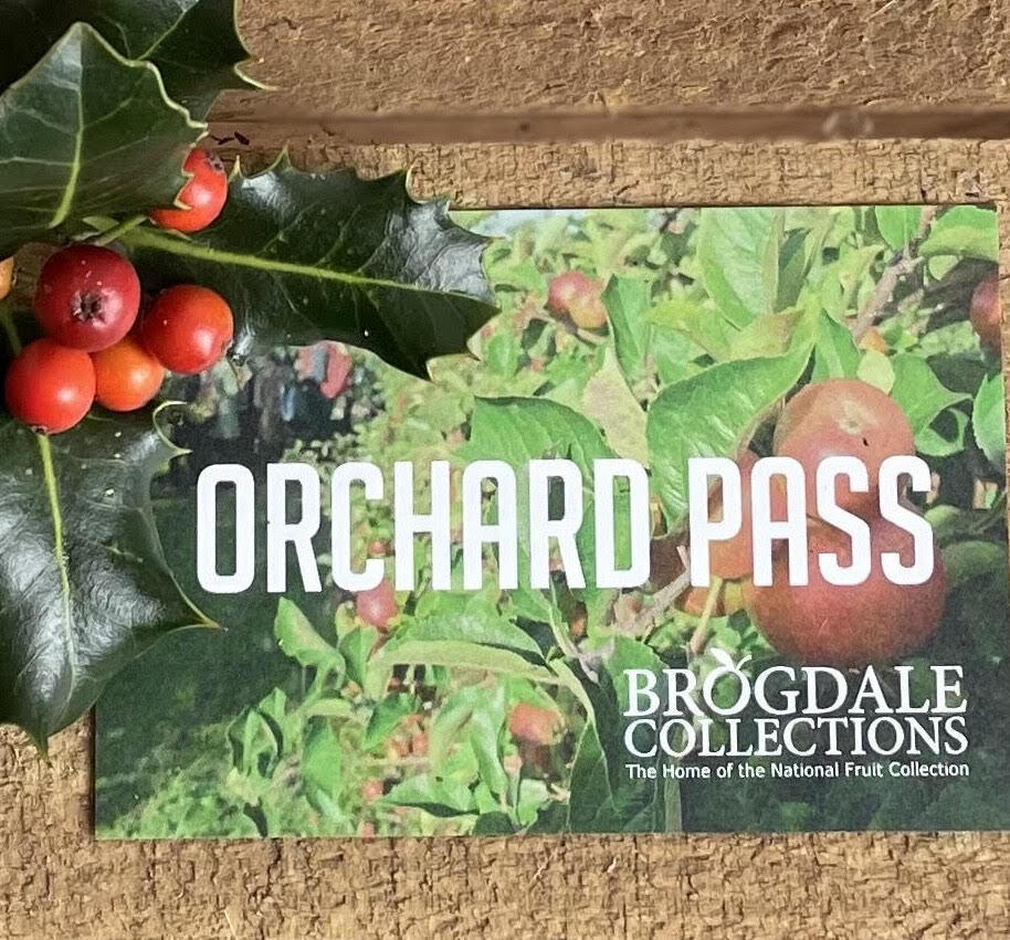 Christmas Gifts from Brogdale Collections - Produced in Kent