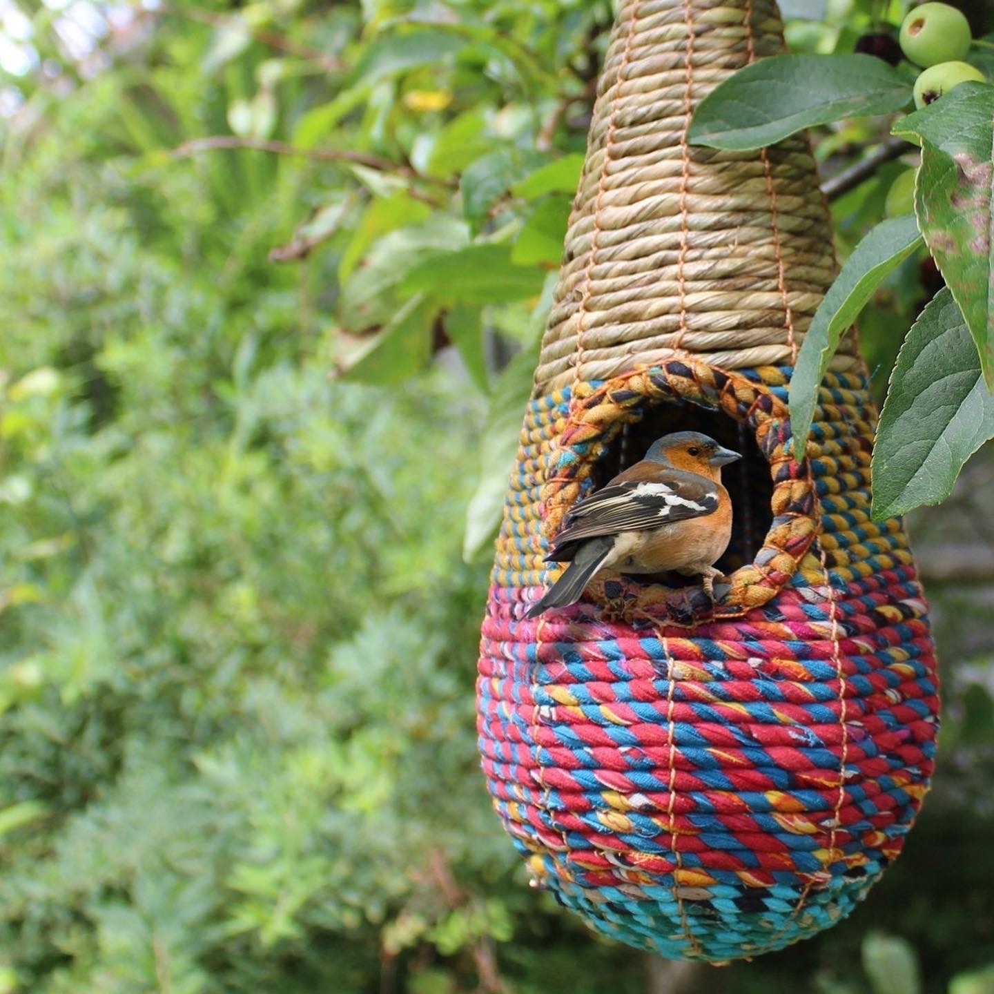 Beautiful Bird Nesters - Produced in Kent