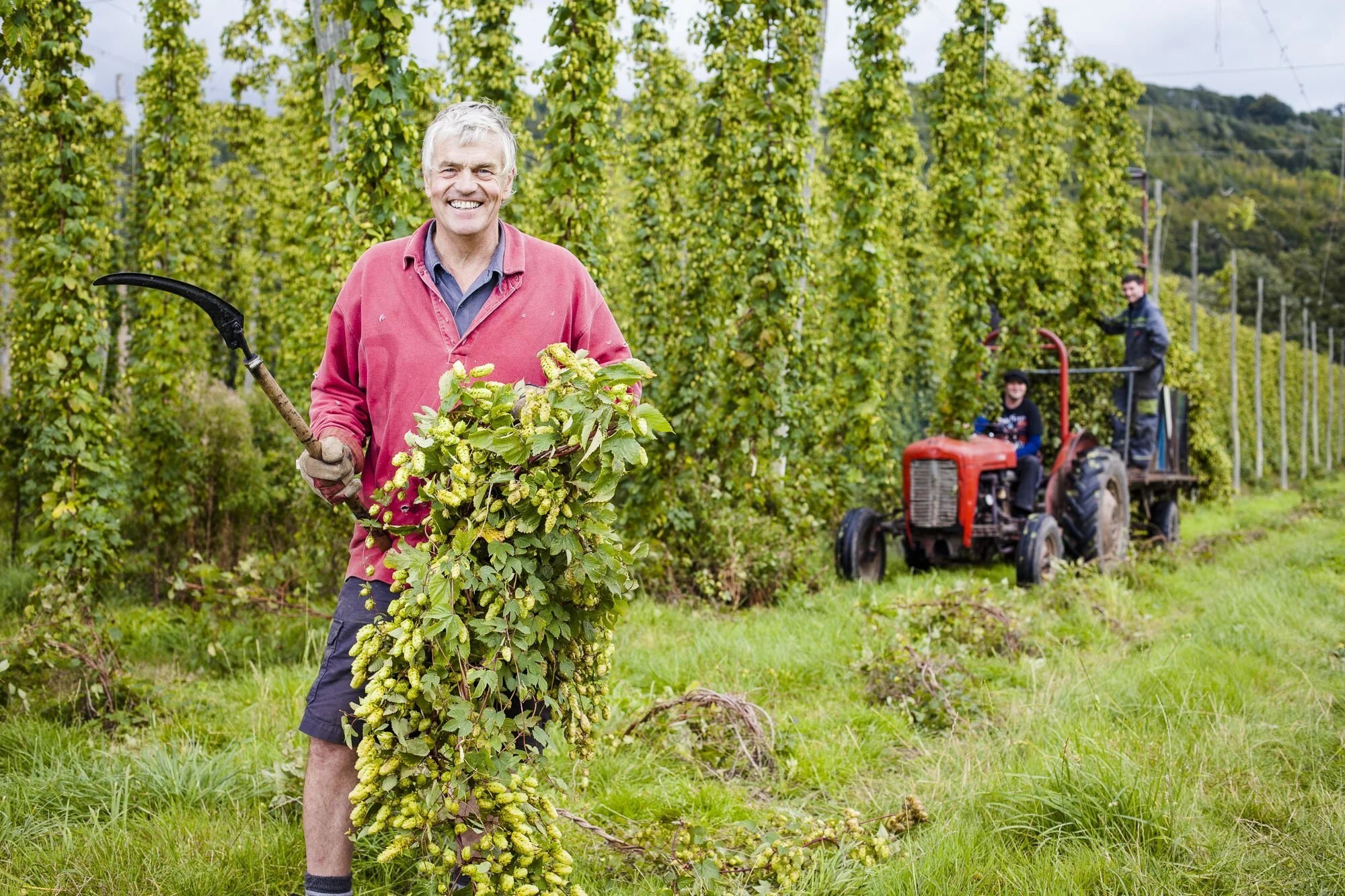 Decorating with fresh hops at Castle Farm - Produced in Kent