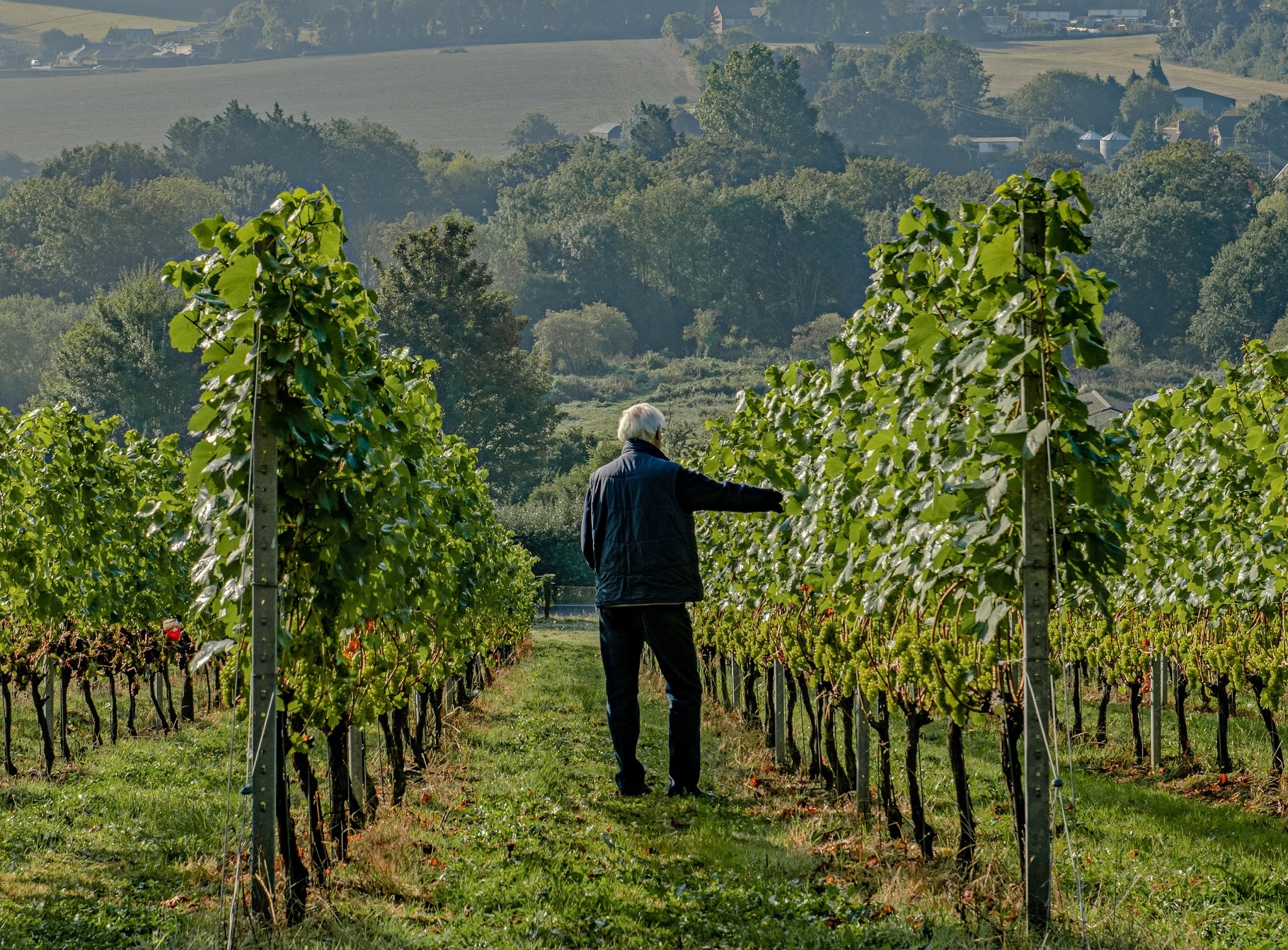 Experiences - Produced in Kent