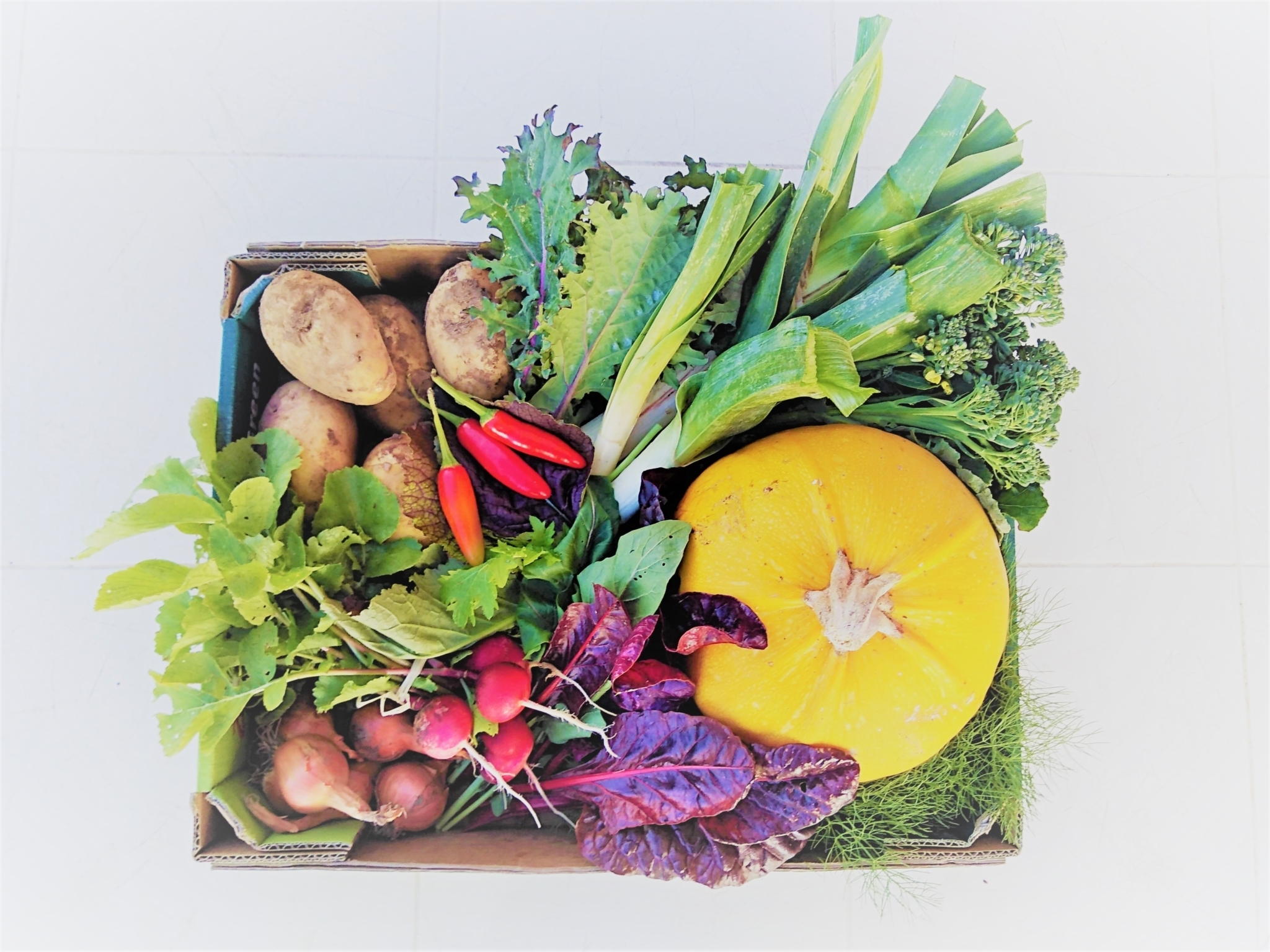 Taste the seasons with a Communigrow Veg Box - Produced in Kent
