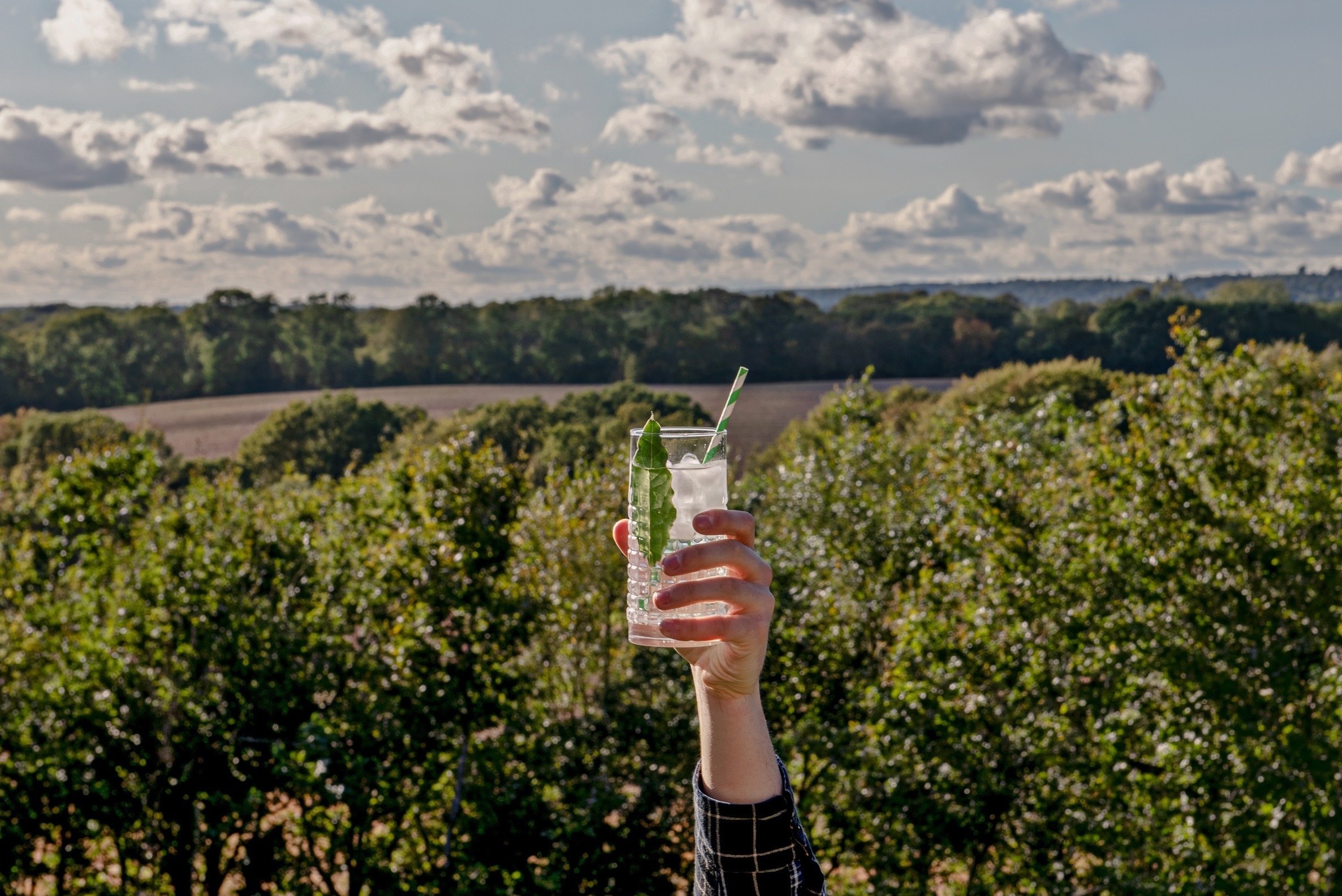 News - Produced in Kent