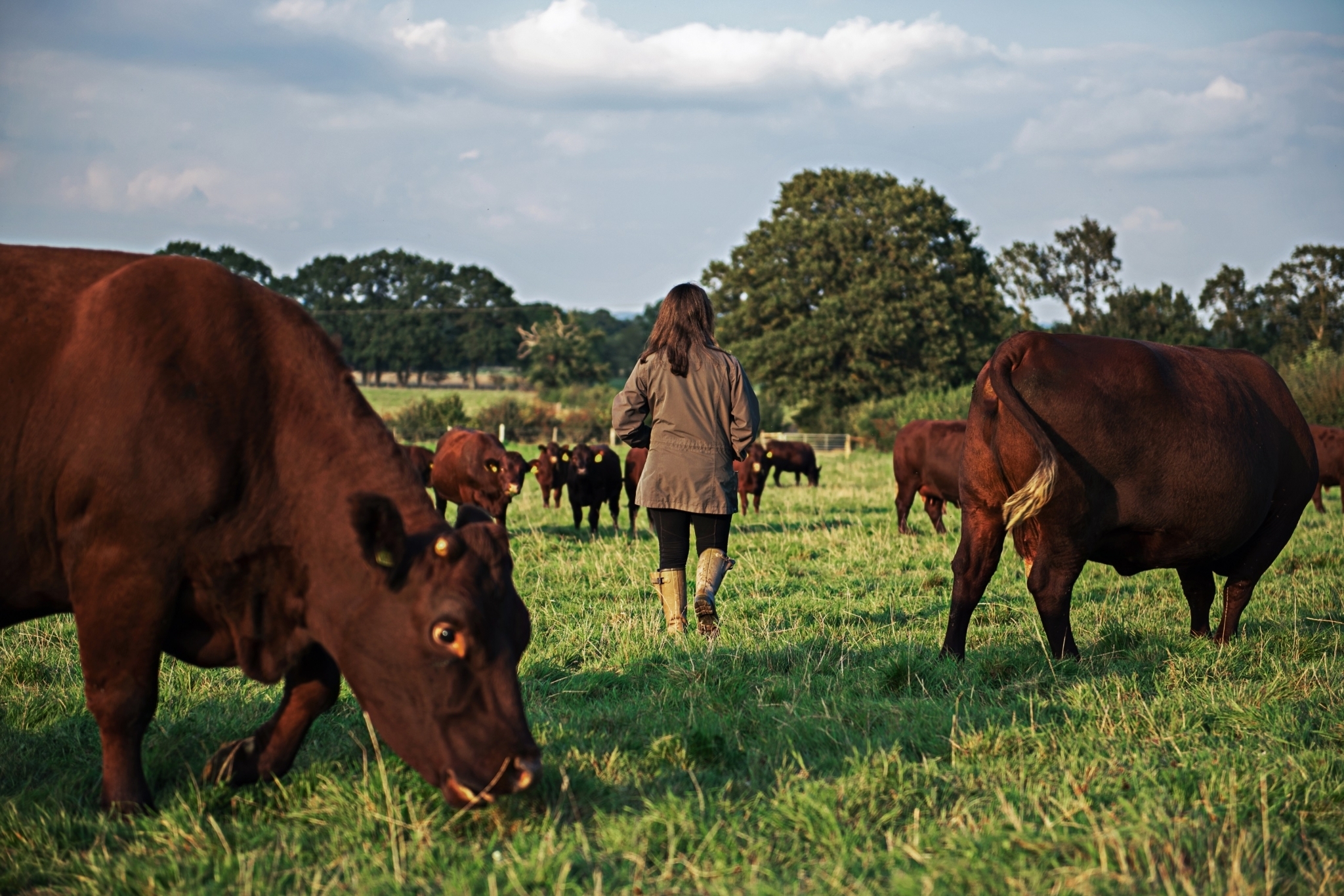 Discover - Produced in Kent