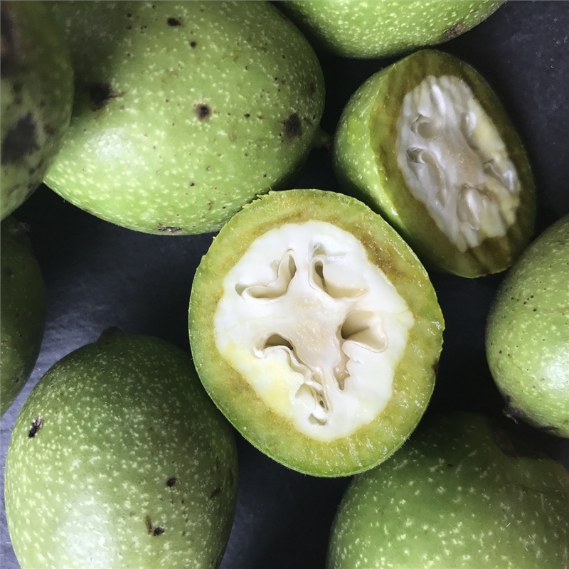 Green Walnuts now available from Potash Farm - and how to Pickle them ...