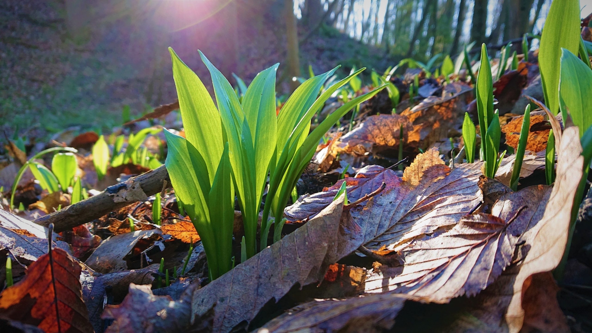 More than just potatoes at The Potato Shop Tenterden - Produced in Kent