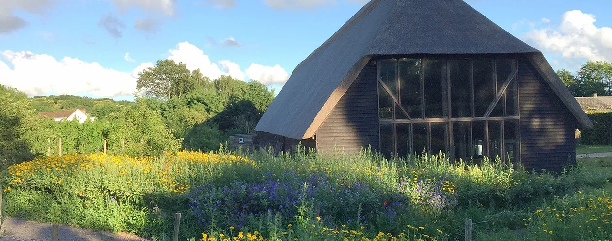 Exciting things are happening at Woolton Farm, the home of Kentish Pip ...