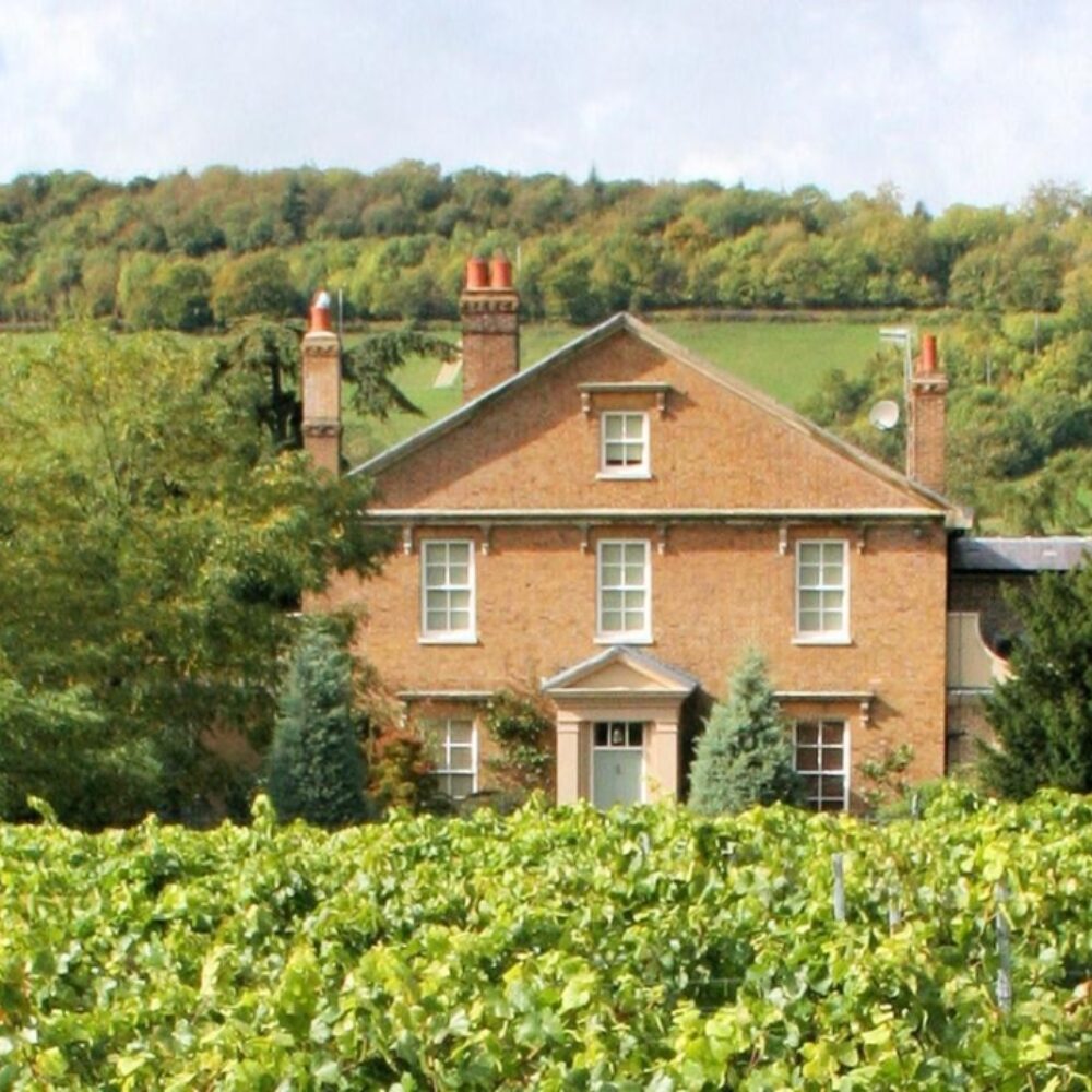 The Mount Vineyard - Produced in Kent