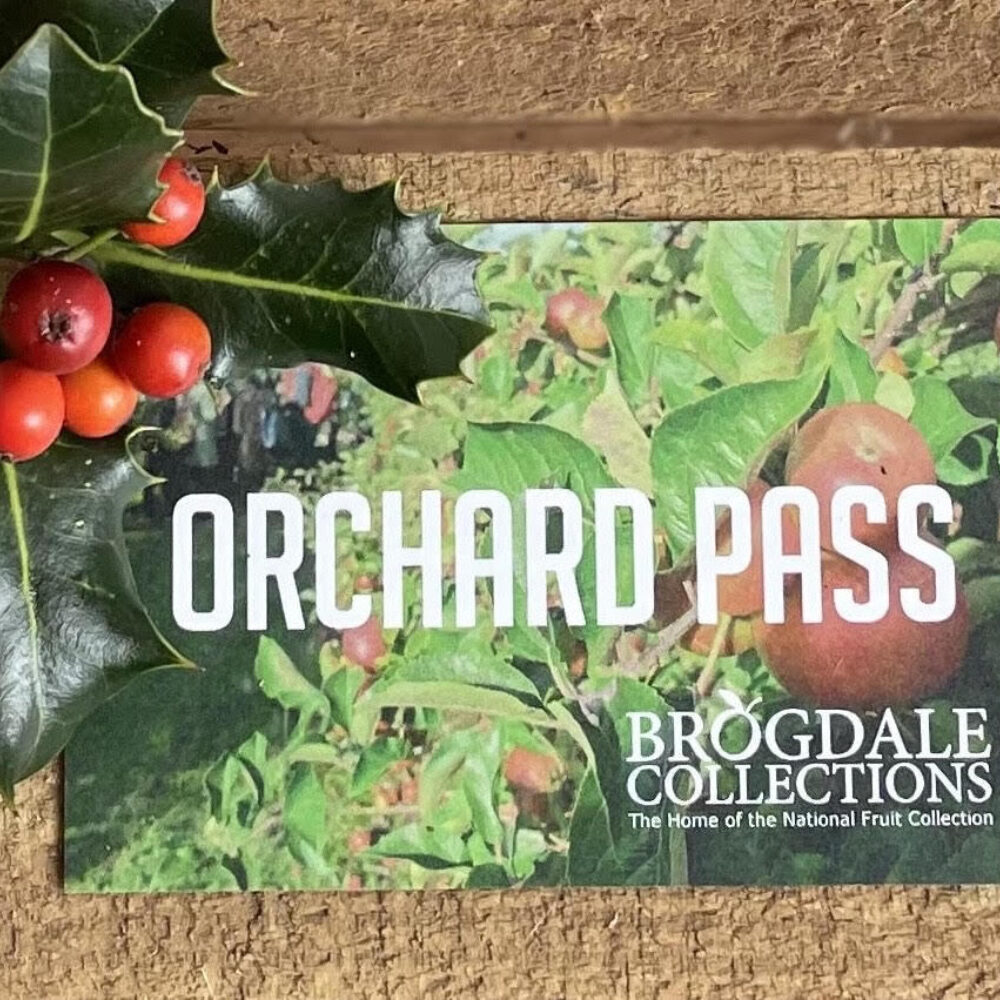 Christmas Gifts from Brogdale Collections - Produced in Kent