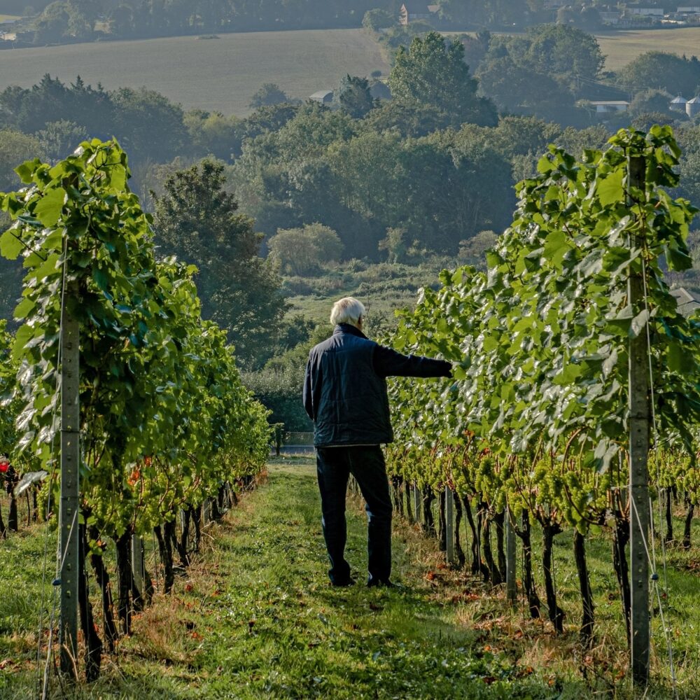 Experiences - Produced in Kent