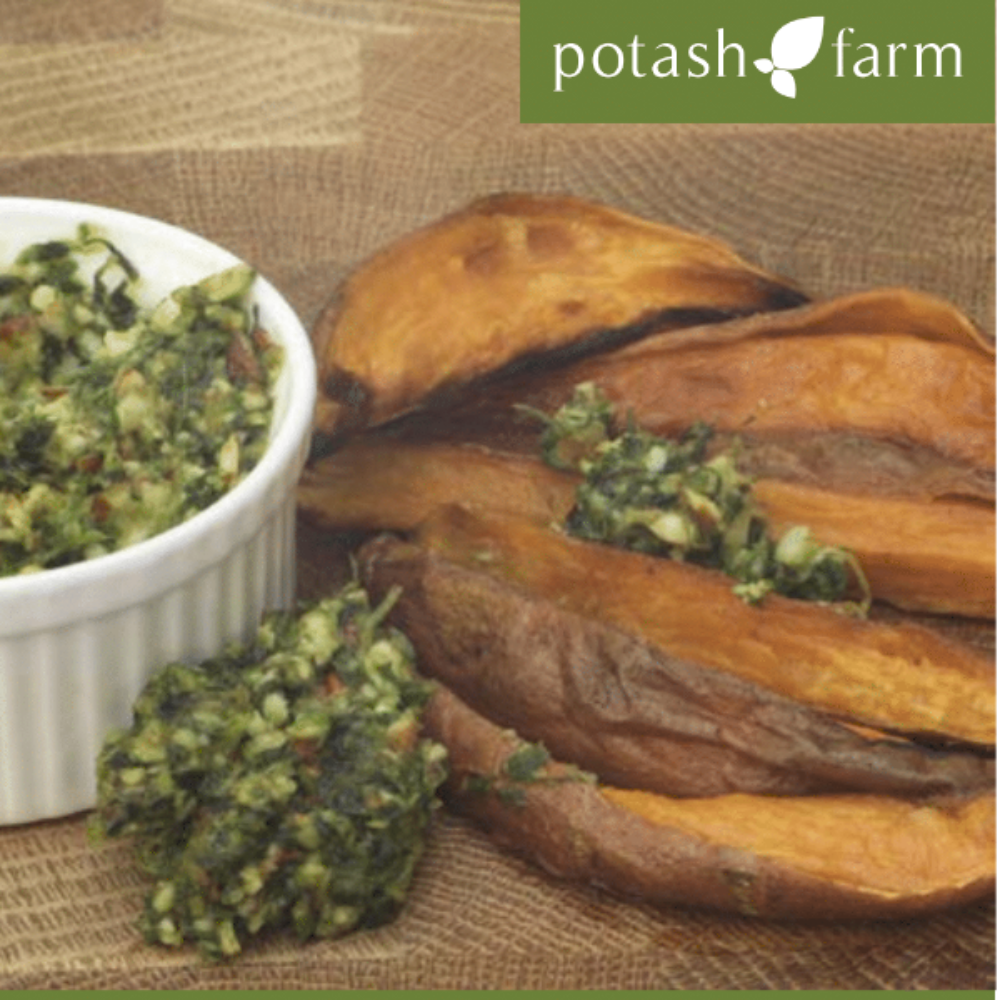 Herb & Cobnut Pesto Recipe from Potash Farm - Produced in Kent