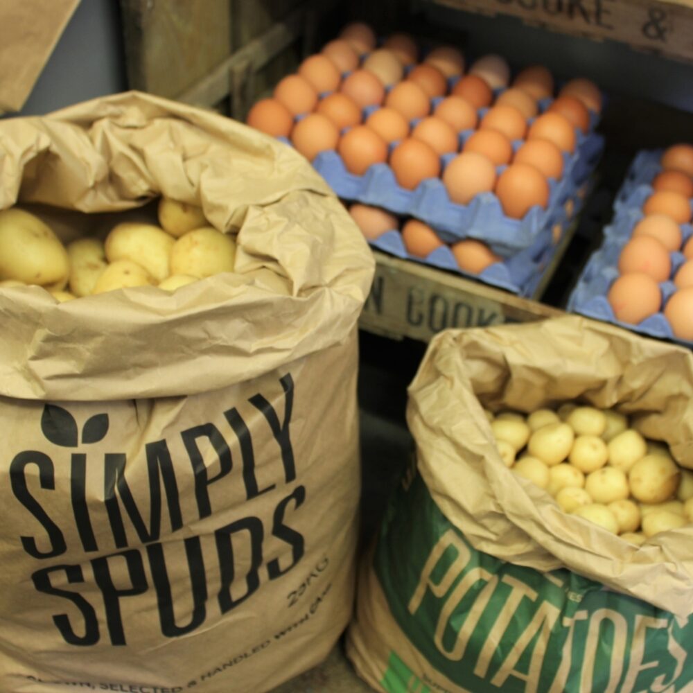 Provenance Potatoes celebrate the harvest of Marfona variety with ...