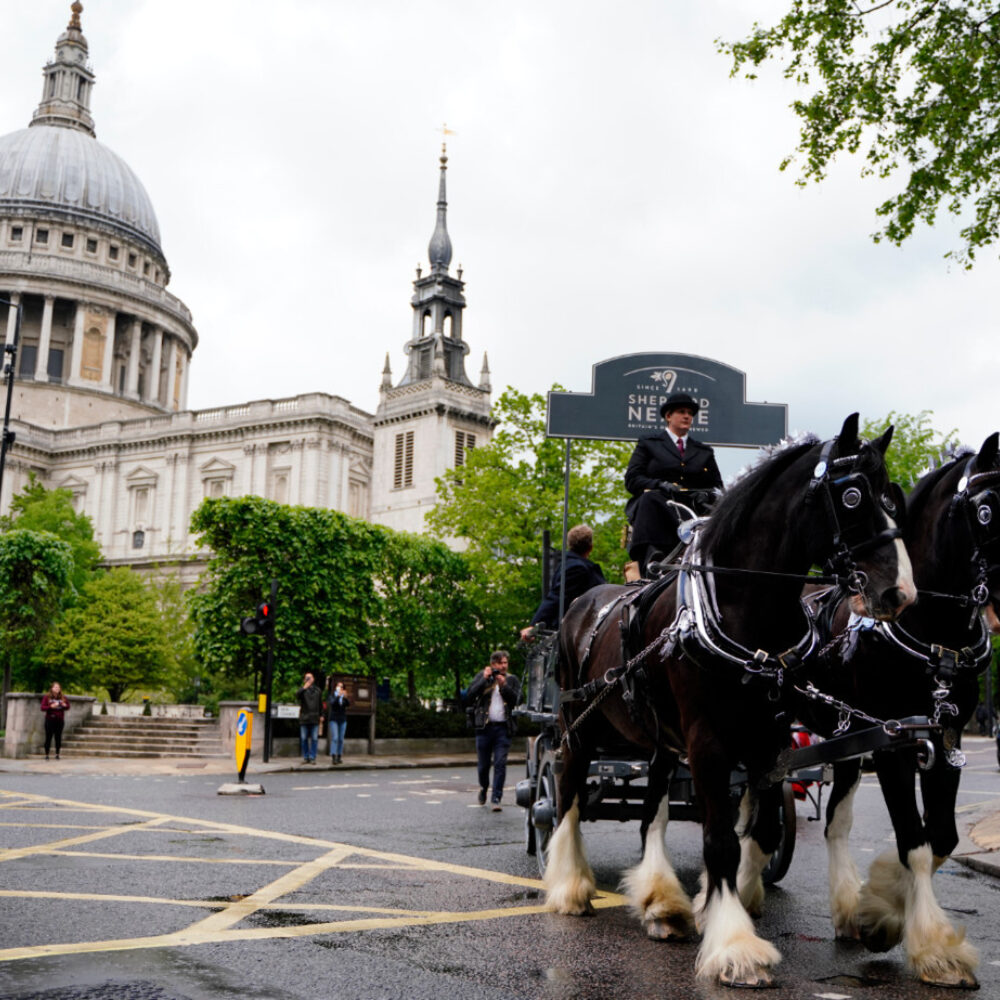 Shepherd Neame to join city celebrations in this year's Lord Mayor Show ...