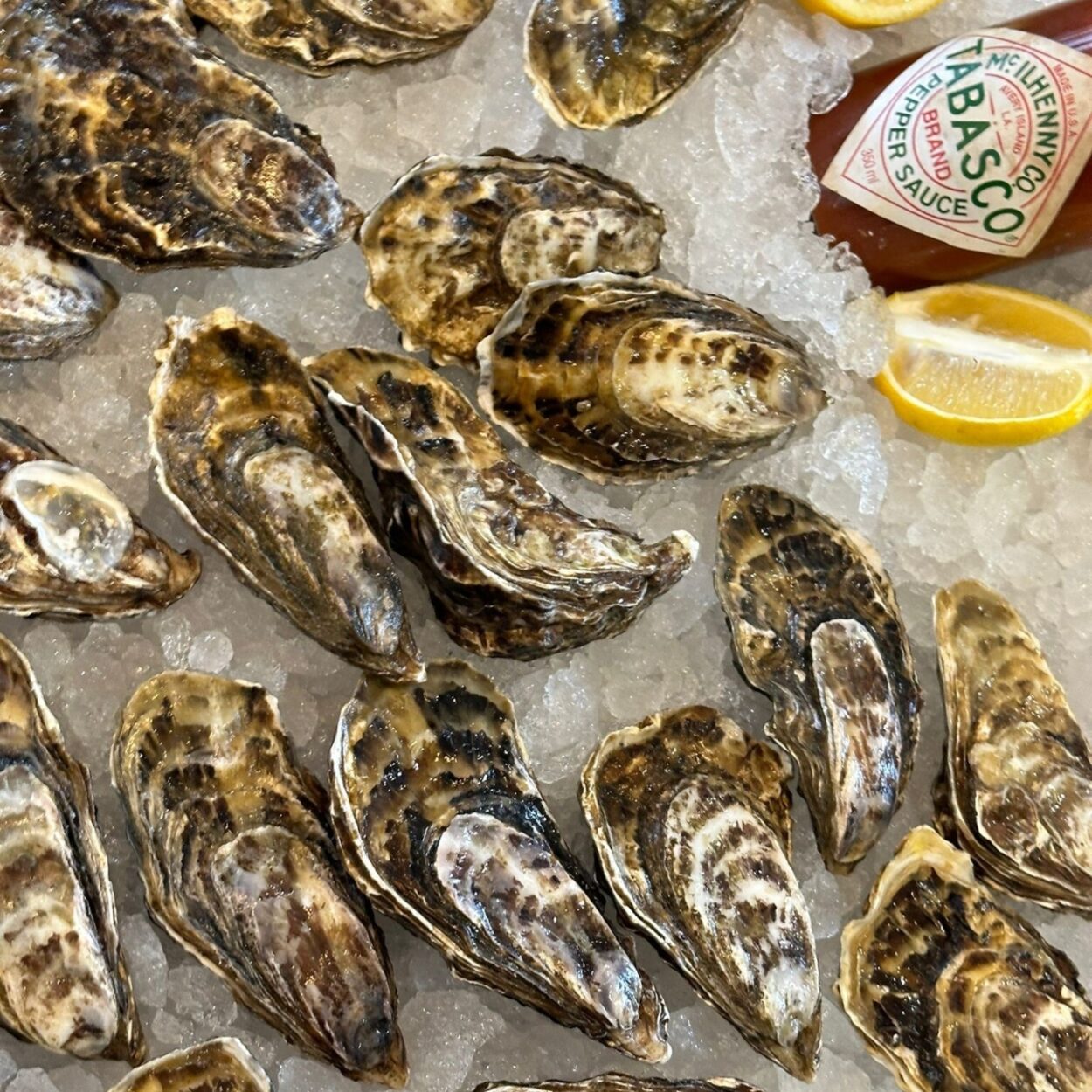 Oyster Buoys launch new home delivery service to bring fresh oysters to ...