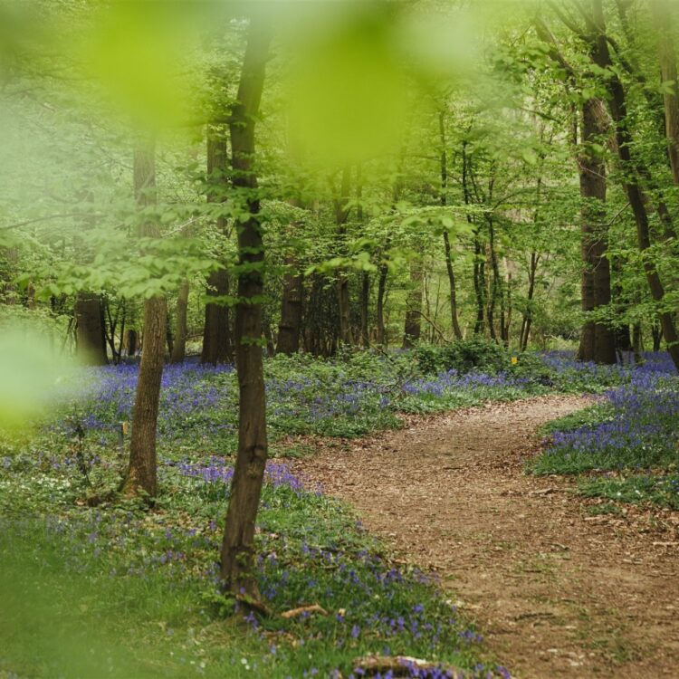 Balfour Winery - Produced in Kent