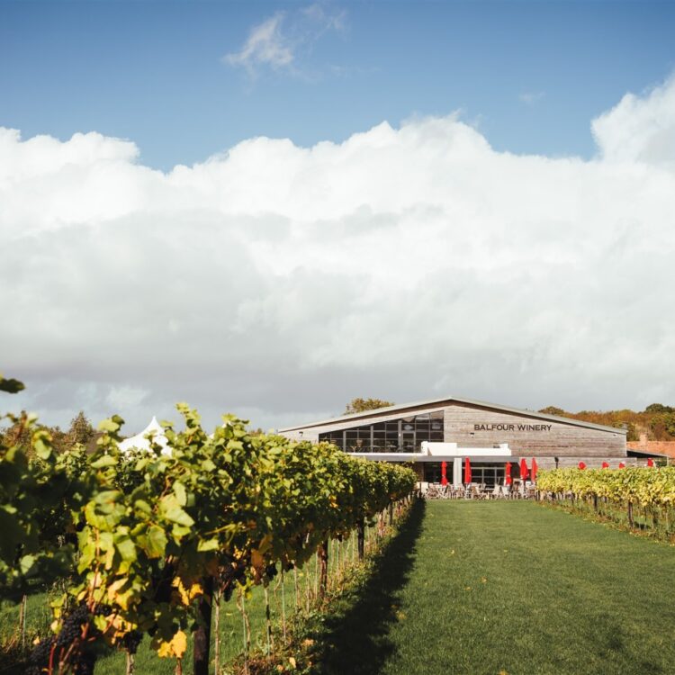 Balfour Winery - Produced in Kent