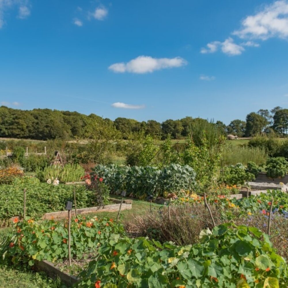 Bore Place - Produced in Kent