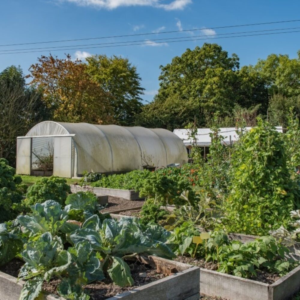 Bore Place - Produced in Kent