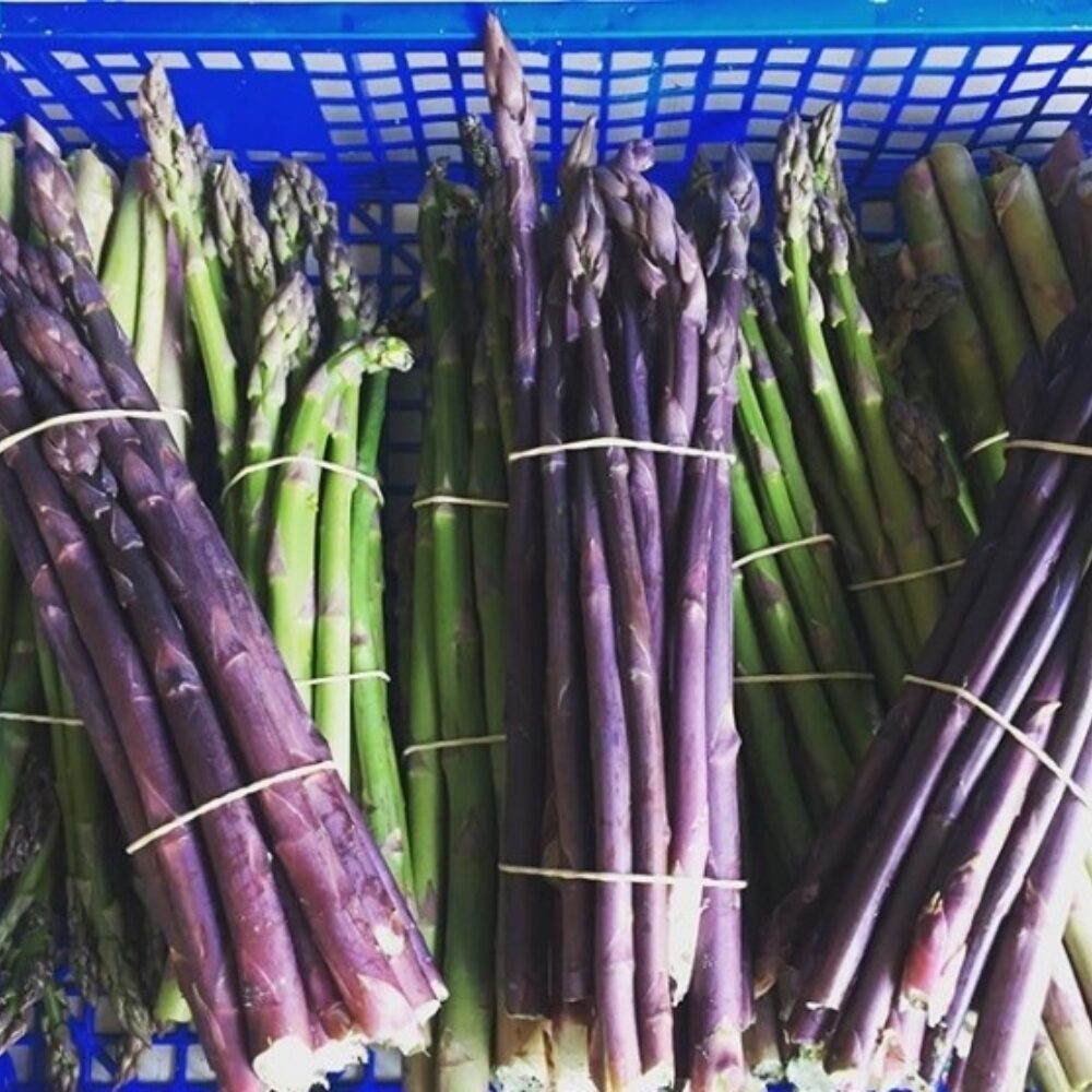 David Catt And Sons LTD - Produced in Kent