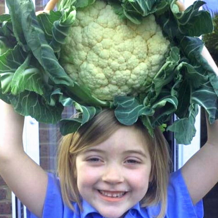 Kent Veg Box - Produced in Kent