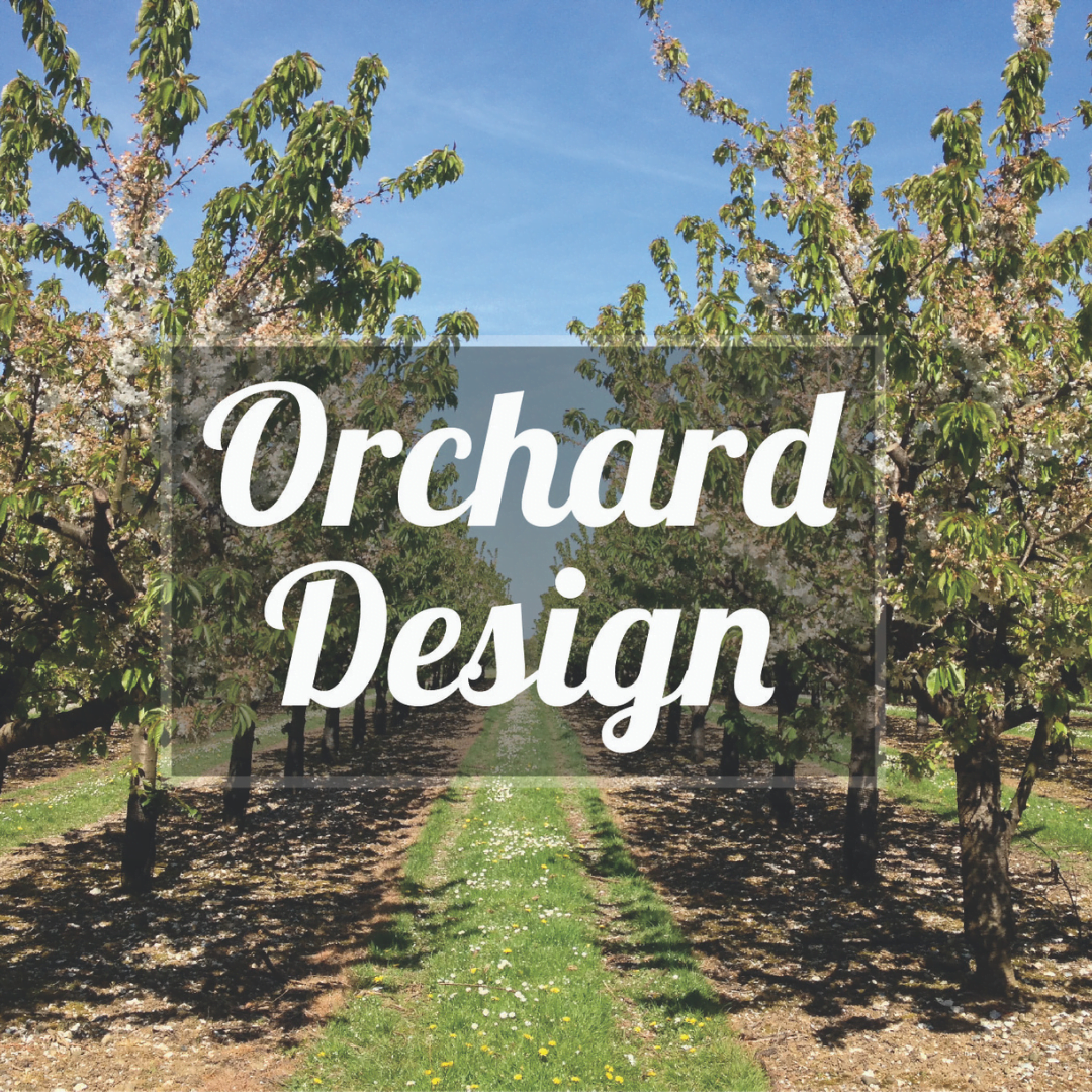 Orchard Design - Produced in Kent