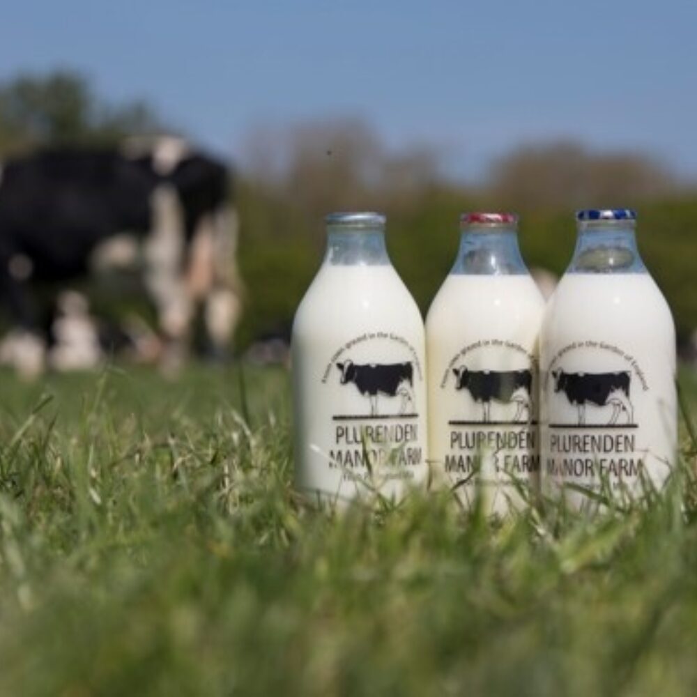 Plurenden Manor Dairy Farm - Produced in Kent