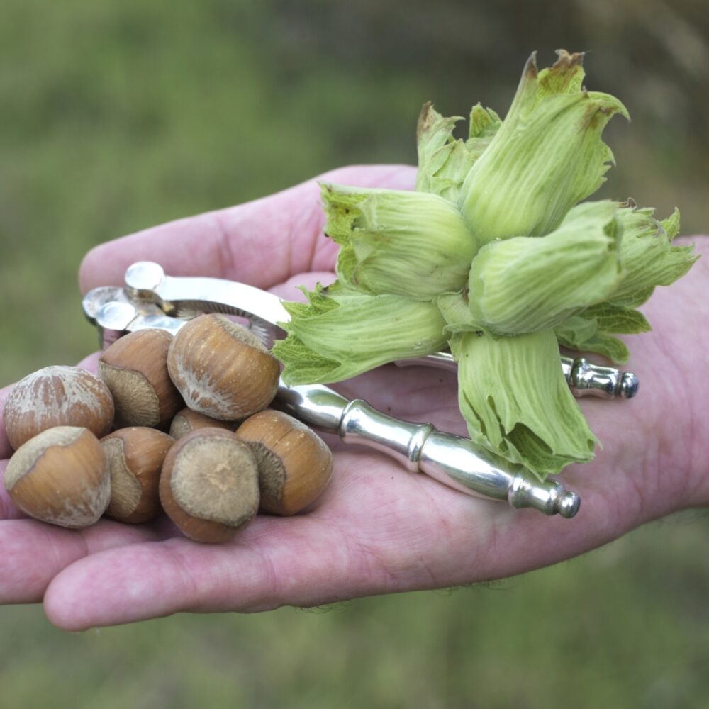 Potash Farm are delighted to announce we're back on the road ...