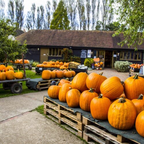 Castle Farm - Produced in Kent