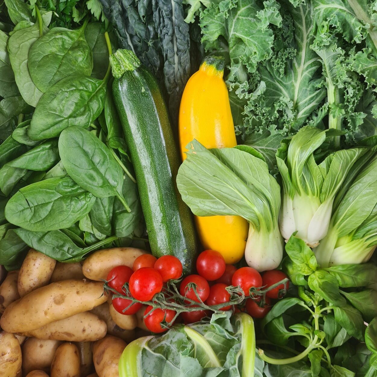 Watts Farm - Produced in Kent