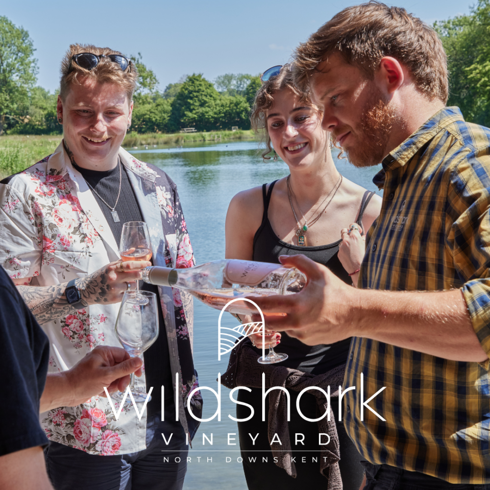 Discover Wildshark Vineyard's New Shop and Tasting Room: Grand Opening ...